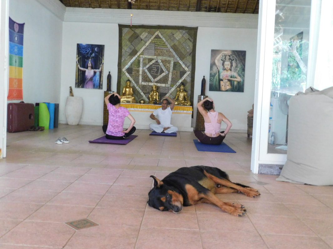 Bali Holistic Retreat